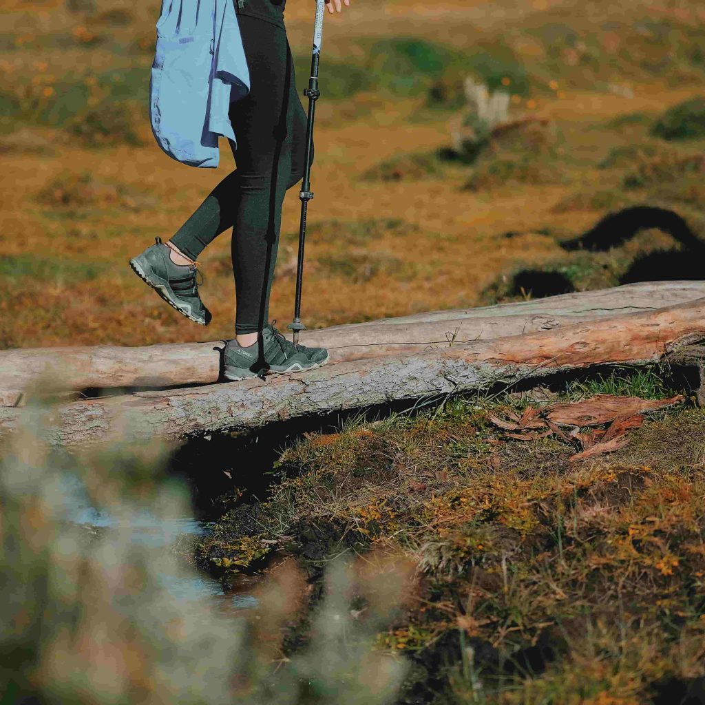 Ushuaia in January: What to Wear, Its Weather, and Temperature ...